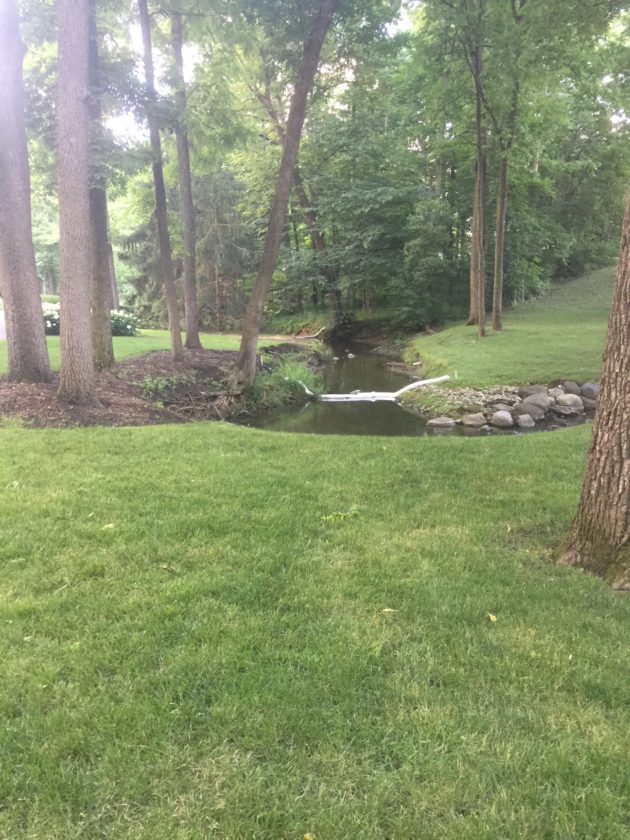 Commercial Landscaping | Allison Farms Landscaping